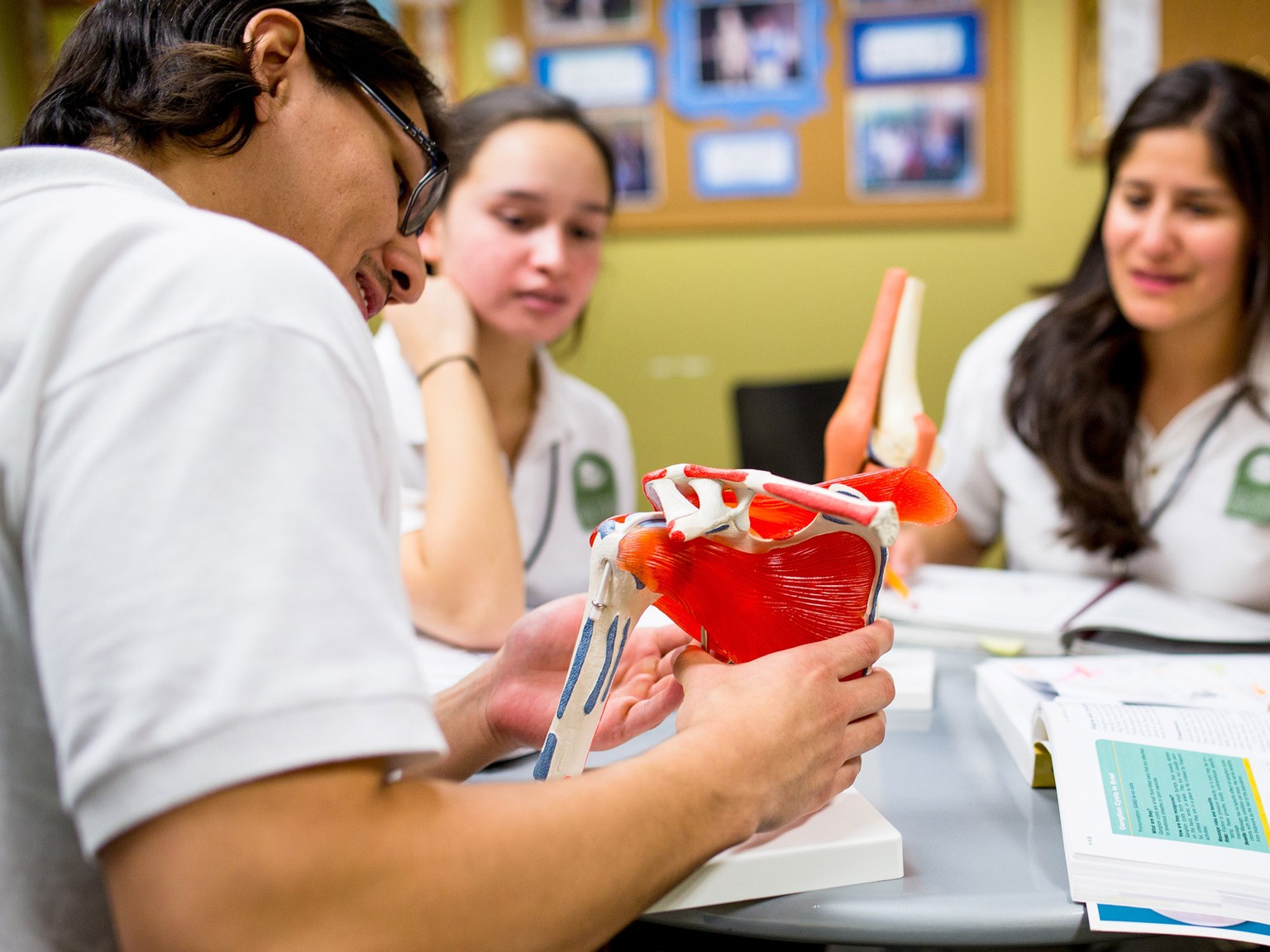 Massage School Programs | Massage Therapy School Curriculum - Massage ...