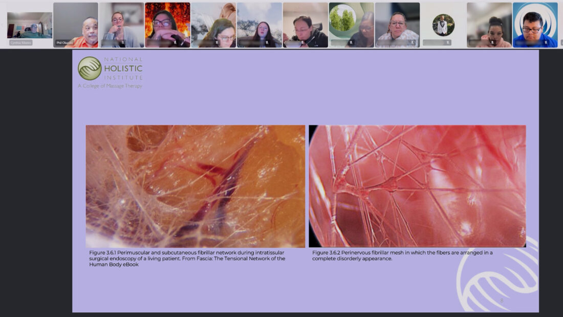 Massage School Events | Massage Events – National Holistic Institute